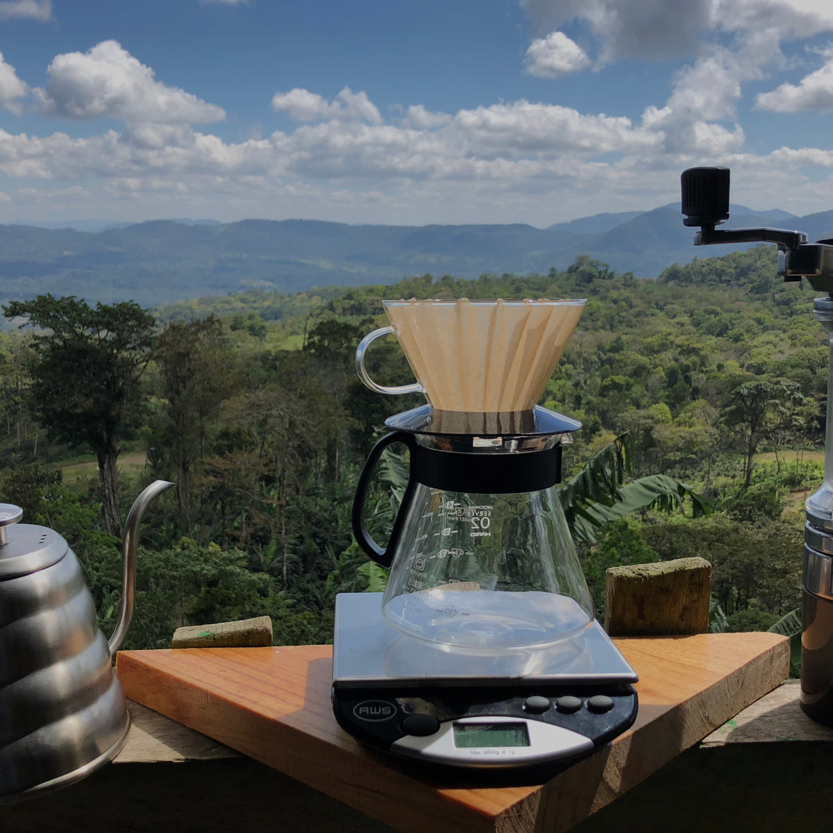 Single Origin Coffee – Ross Street Roasting